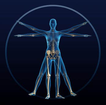 How Lupus Affects the Body : Johns Hopkins Lupus Center